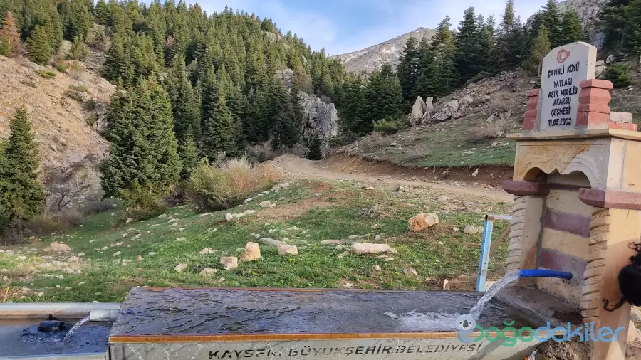 Beydağı Kamp Alanı